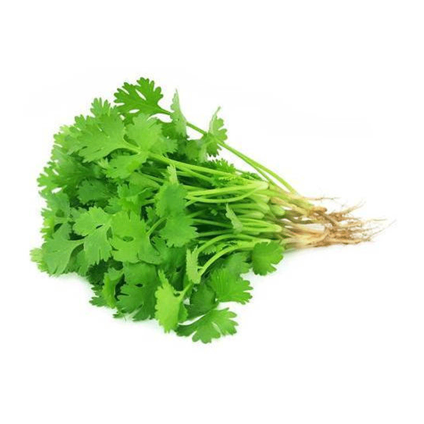 Dhonia Pata (ধনে পাতা) 100gm