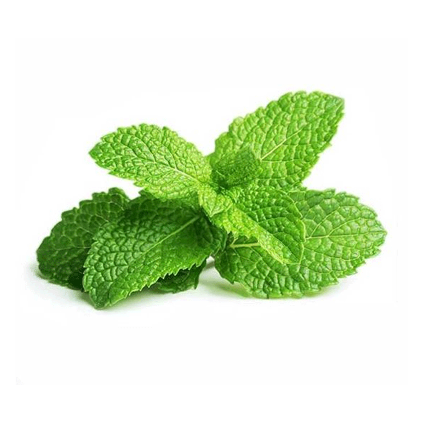 Pudina Pata (পুদিনা পাতা) 100gm