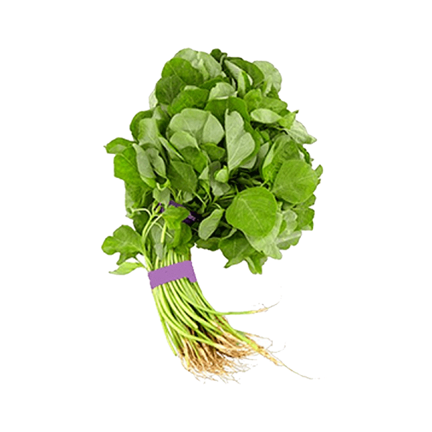 Data Shak (ডাটা শাক)