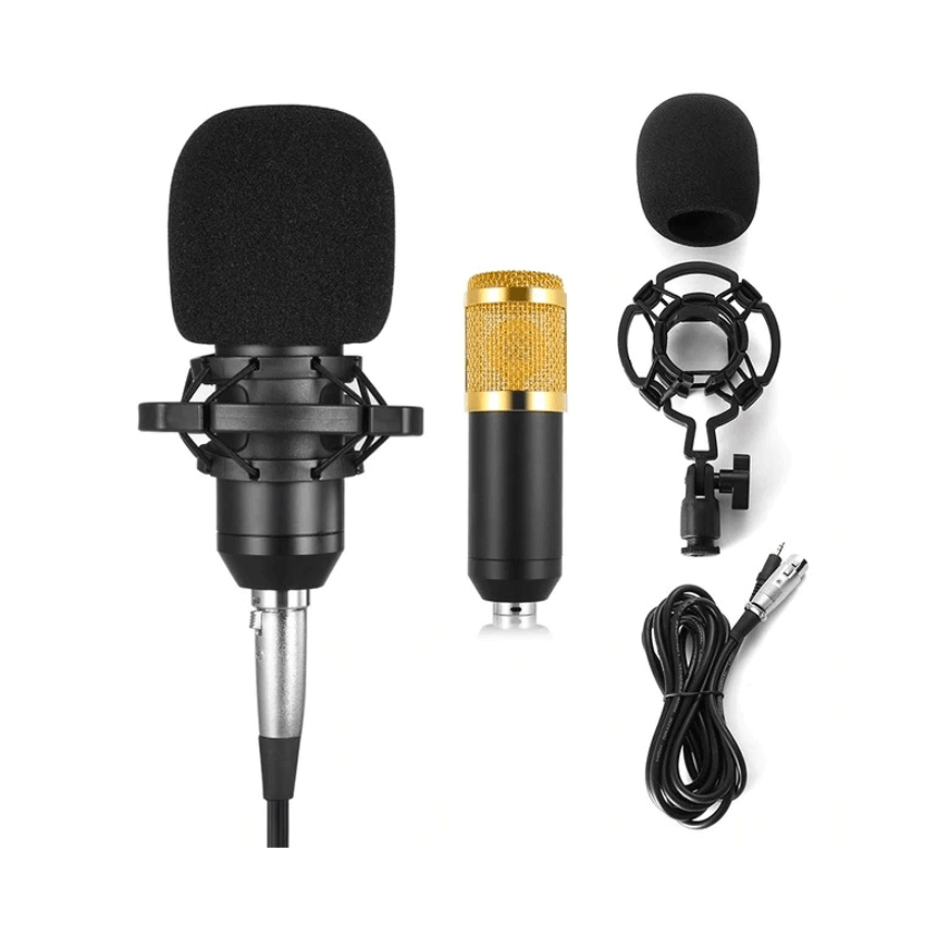 Hylang V800 Wireless Microphone with Sound card