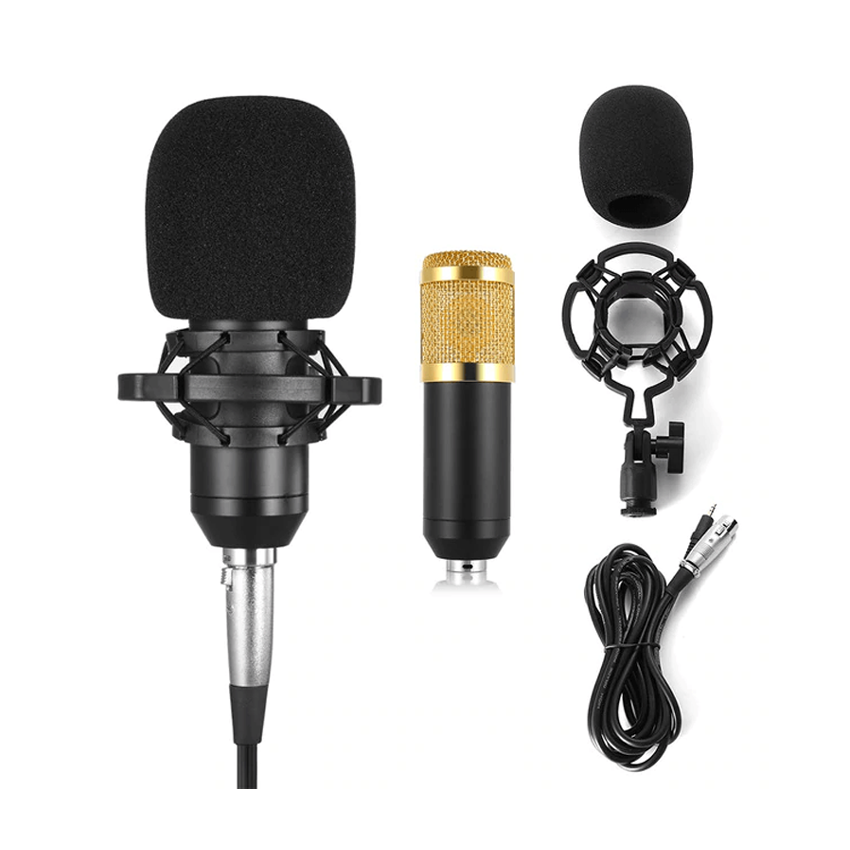 BM800 Microphone Condenser Microphone