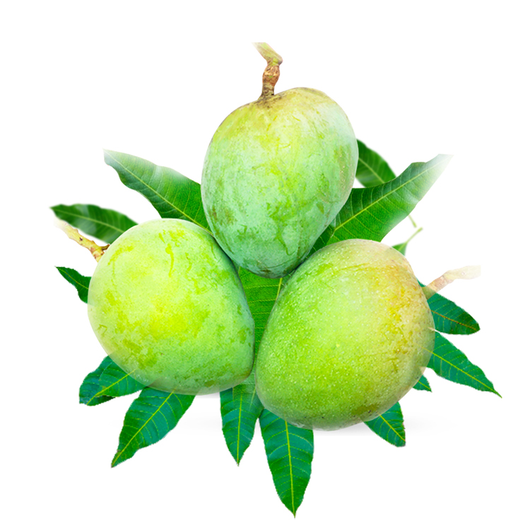 Haribhanga Mango | হাঁড়িভাঙ্গা আম | 5Kg