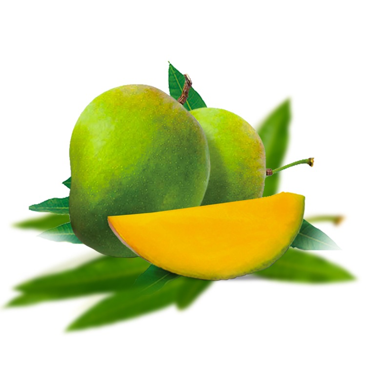 Himsagar Mango 5 KG | হিমসাগর আম ৫ কেজি